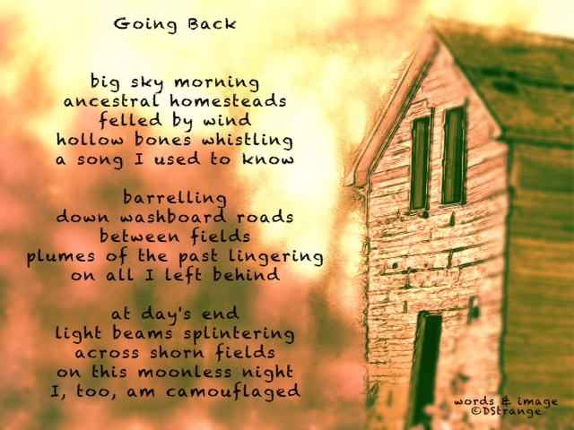 The Tanka of Debbie Strange | portage and slain